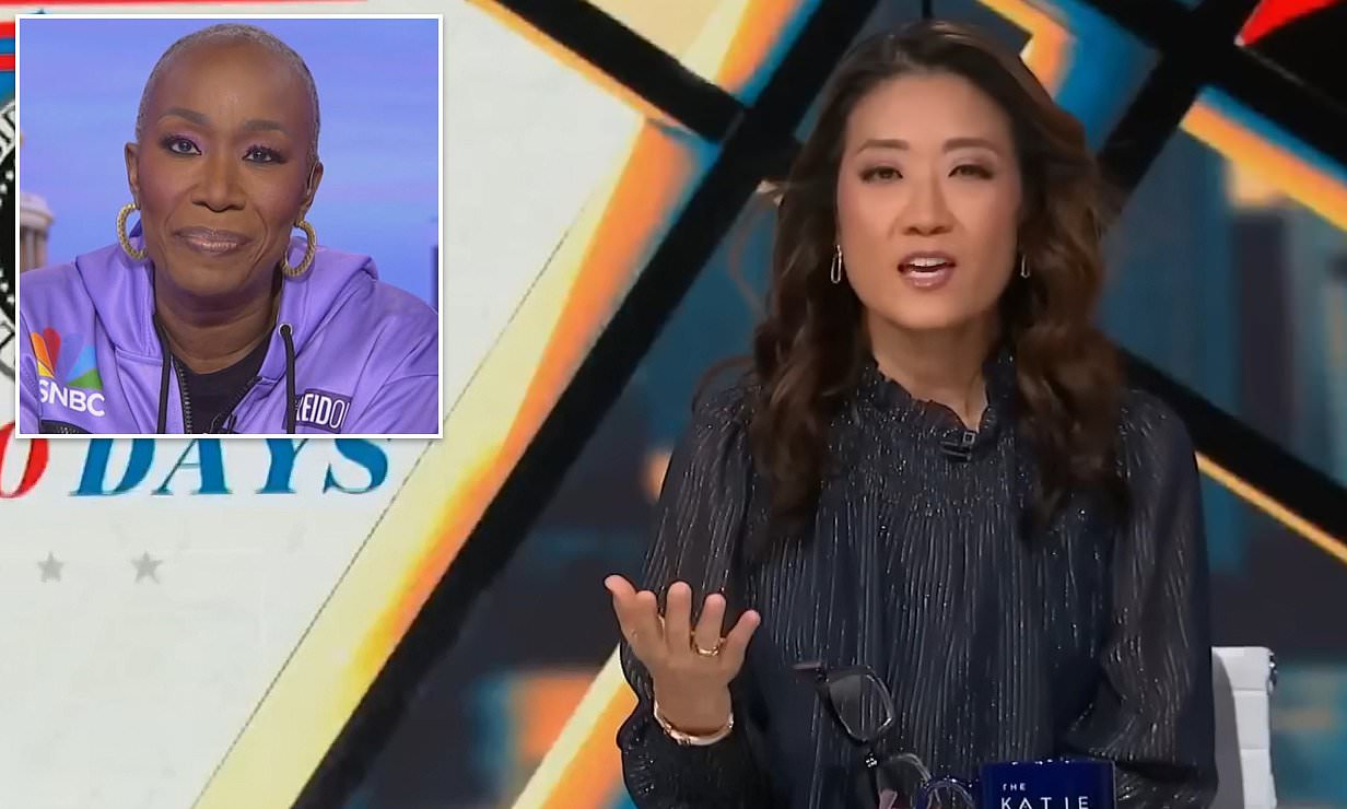 Stunned MSNBC host Katie Phang lashes out at new boss after being axed with Joy Reid
