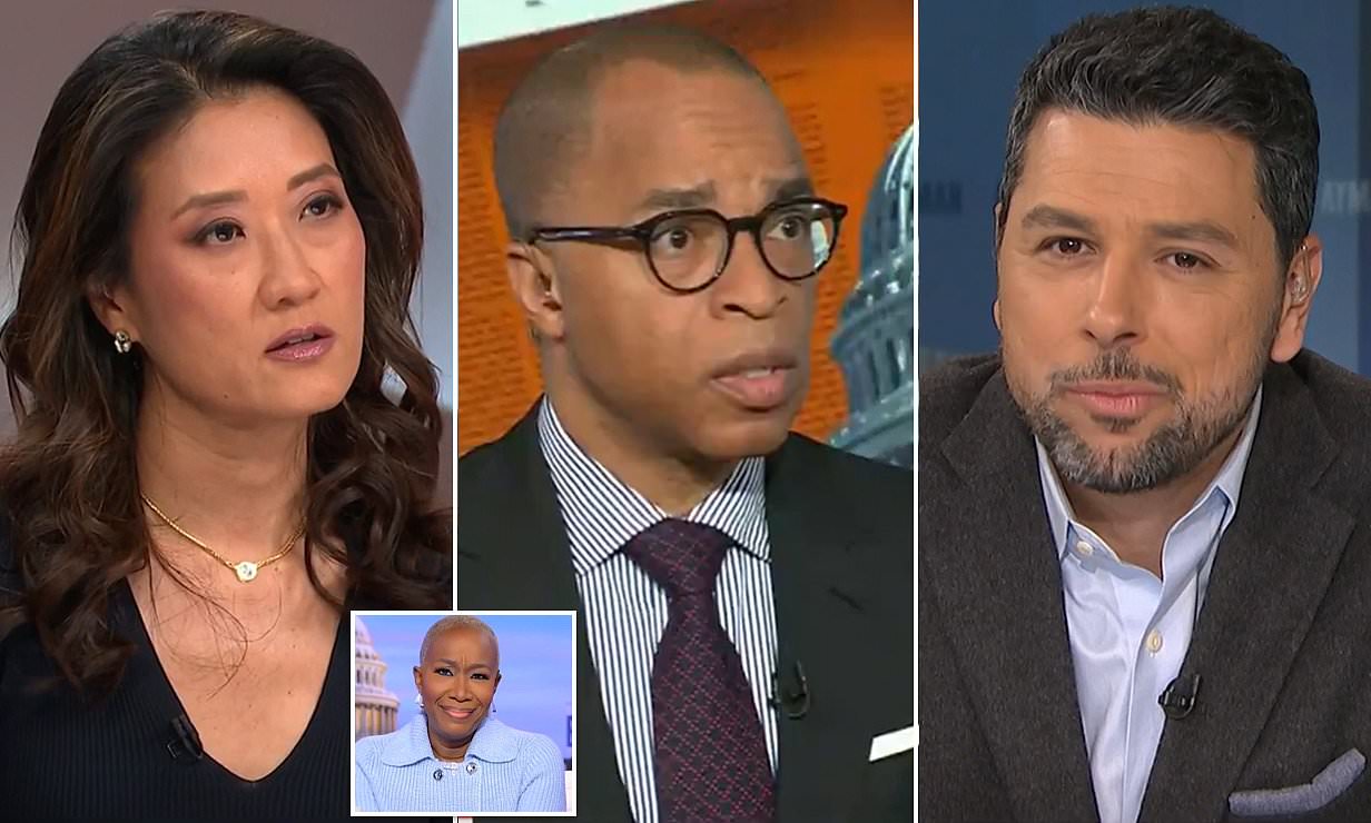 MSNBC axes THREE more stars' shows after Joy Reid in network bloodbath