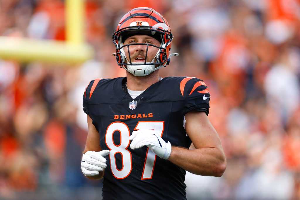 Bengals sign TE Hudson to one-year contract extension