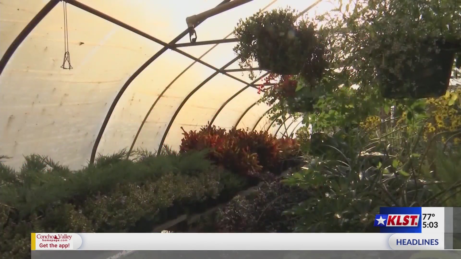 When is the right time to growing plants in the Concho Valley?