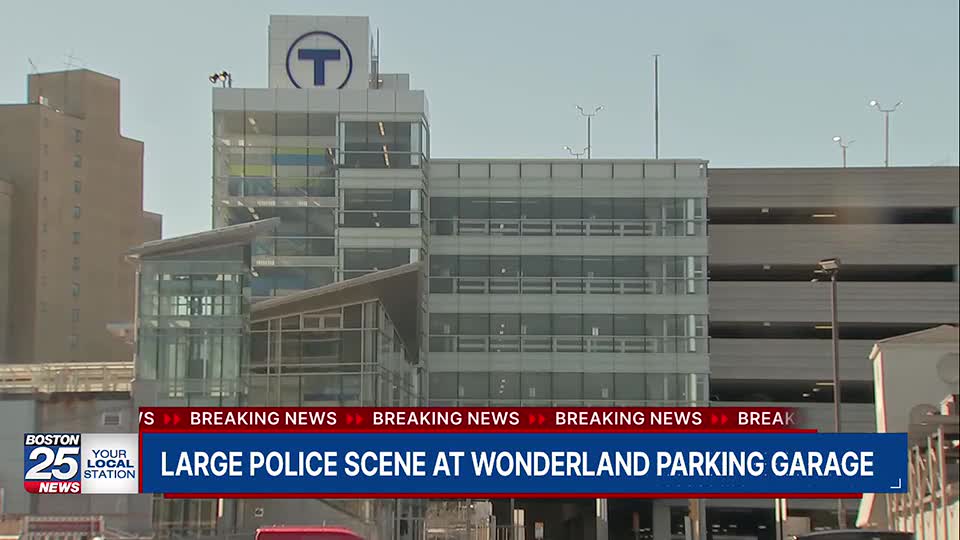 Pilot arrested at Logan Airport dies in parking garage at MBTA station ...