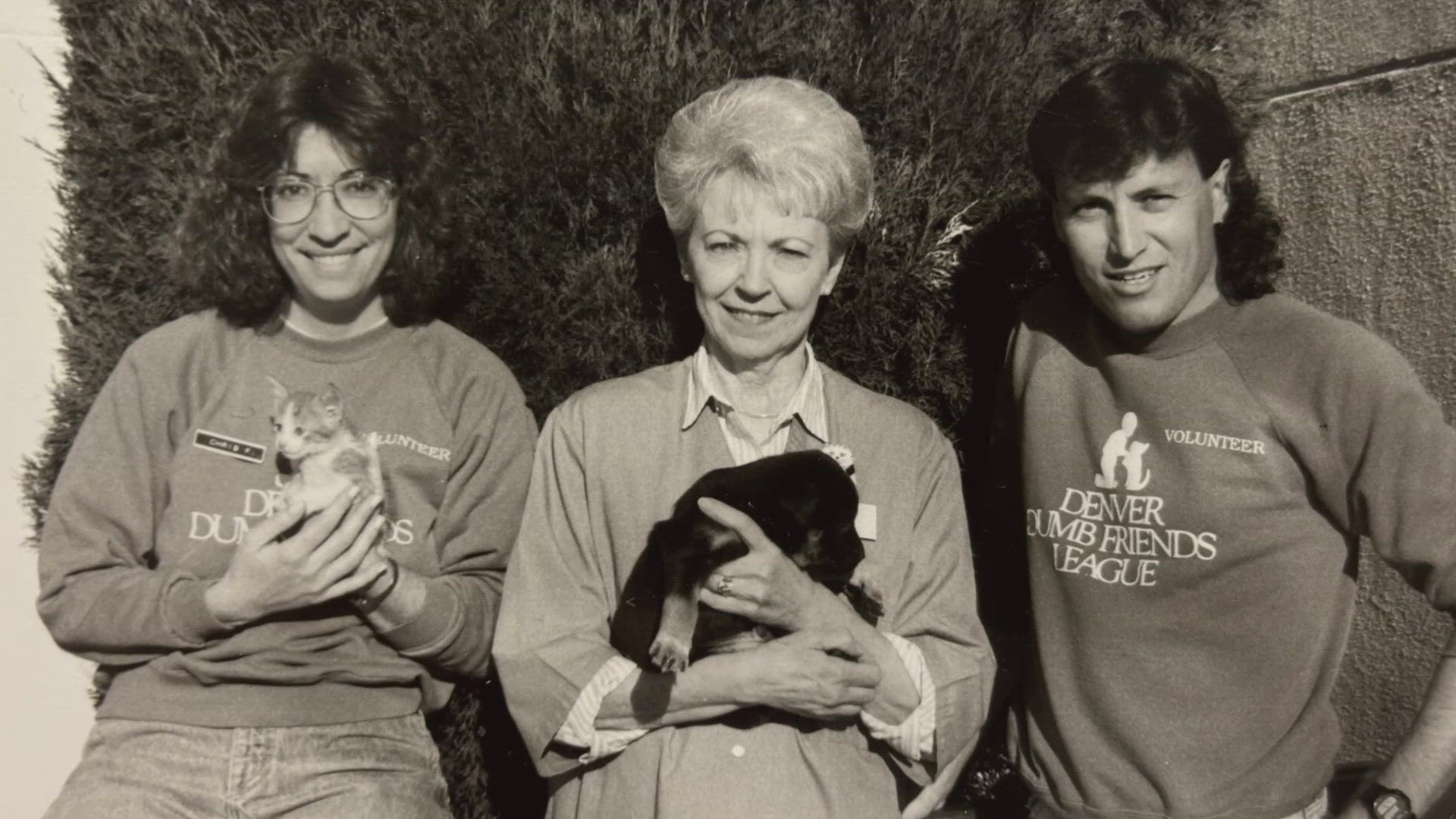 Introducing Humane Colorado: Denver Dumb Friends League is renamed ...