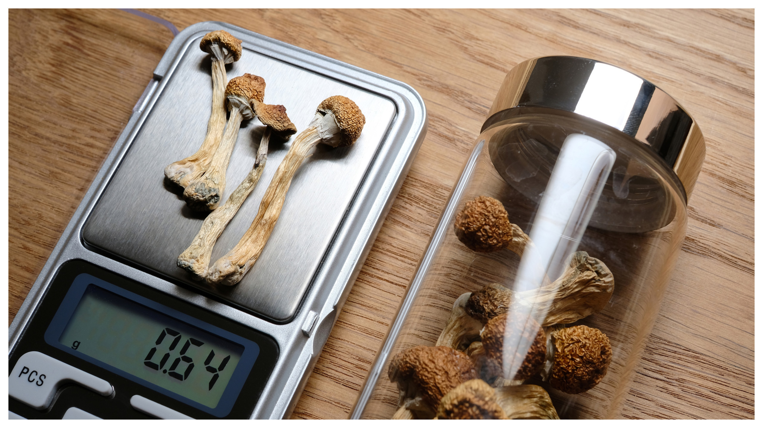 Paddo's: Wat de wetenschap zegt over hun (vele) voordelen