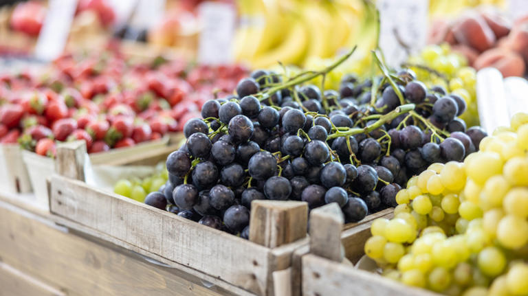 The Difference Between Concord Grapes And Regular