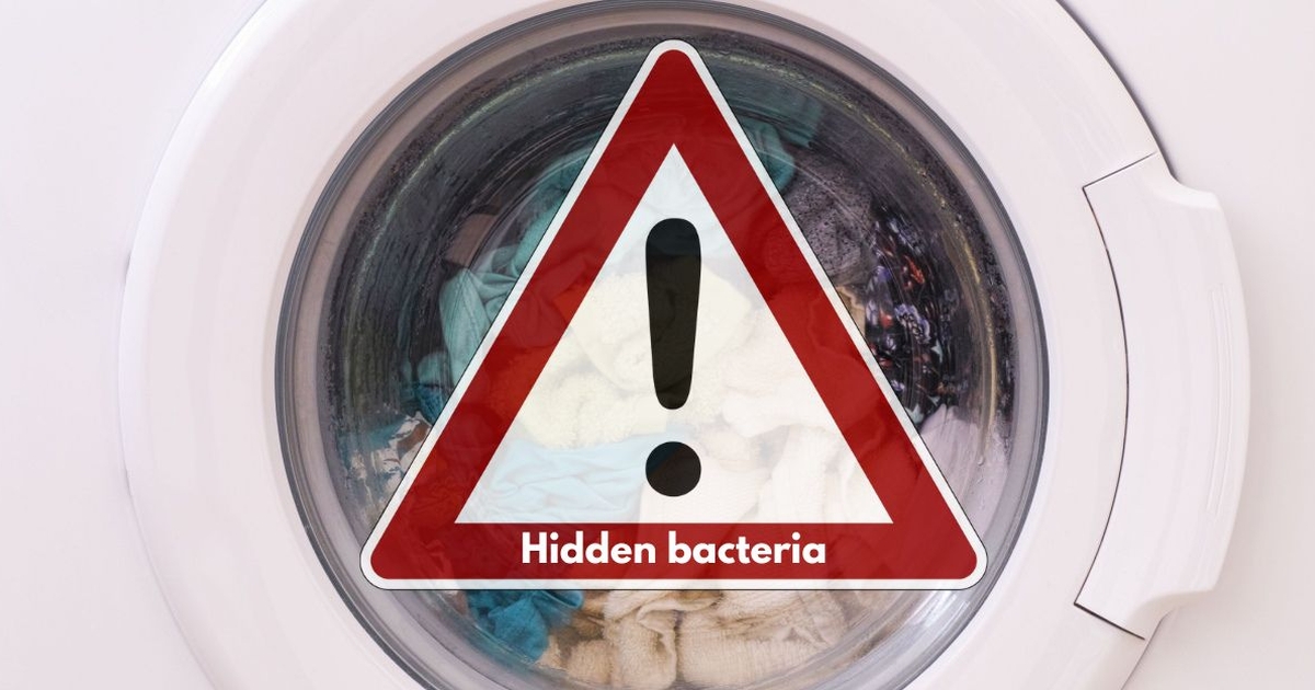 One Simple Trick: Remove Hidden Bacteria from Your Washing Machine ...
