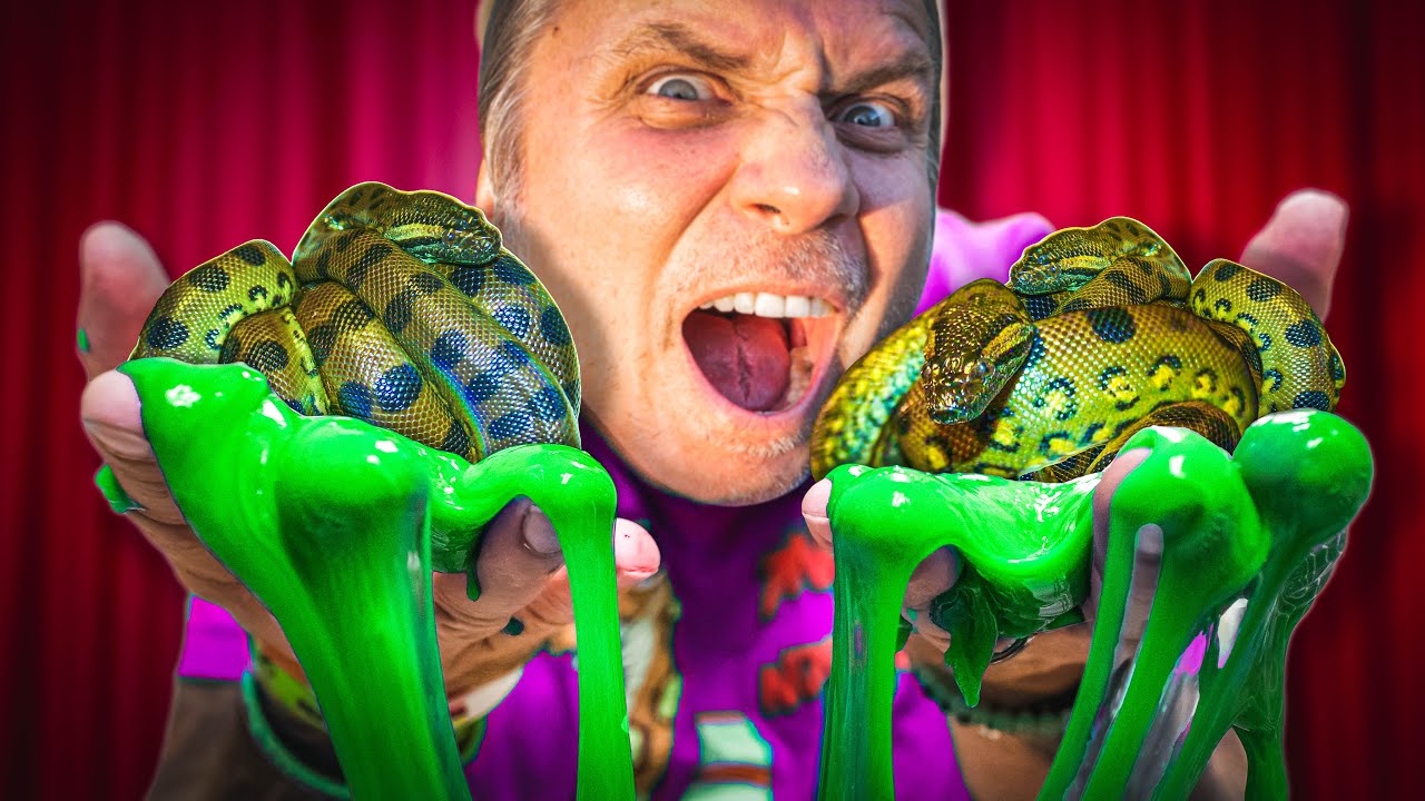 We Had to Clean Up 40 Anaconda Babies