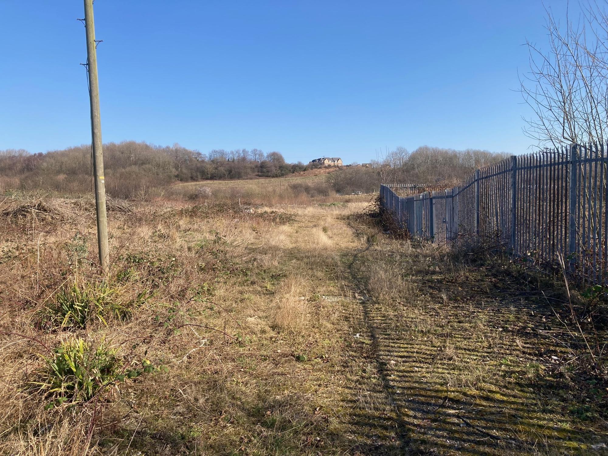 Horse grazing scheme at former sewage works rejected over animal ...