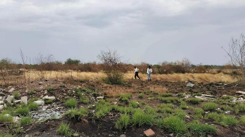 Decomposed Body Found in Culiacán As Homicides as Sinaloa Cartel Turf ...