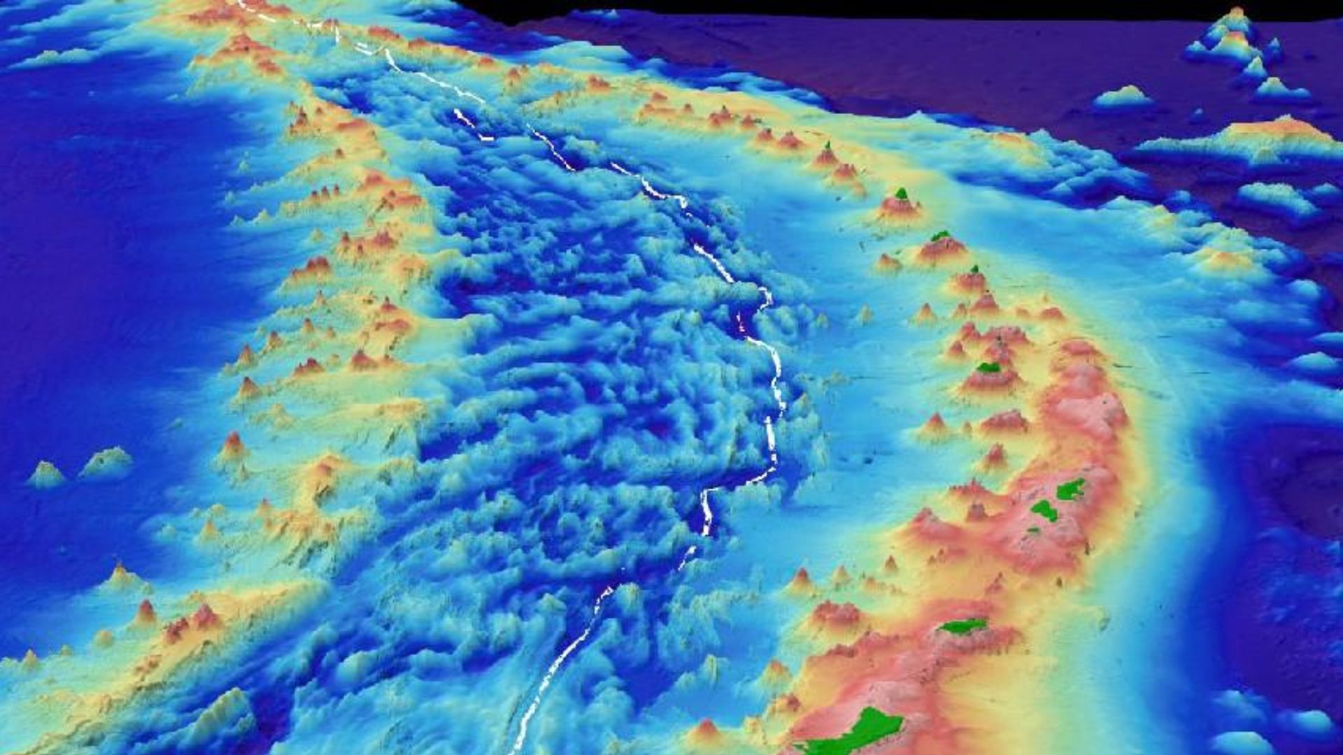 World’s deepest ocean trench yields 7,000 never-seen-before species
