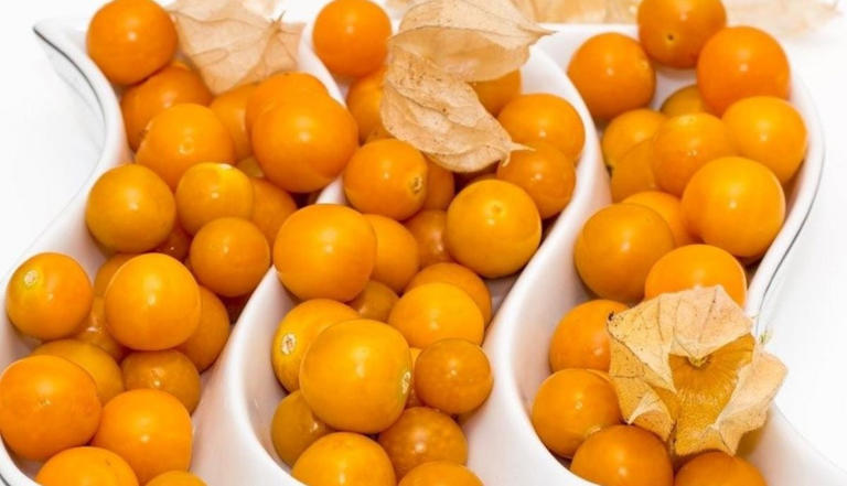 La uchuva supera por primera vez la barrera de los US$40 millones en ...