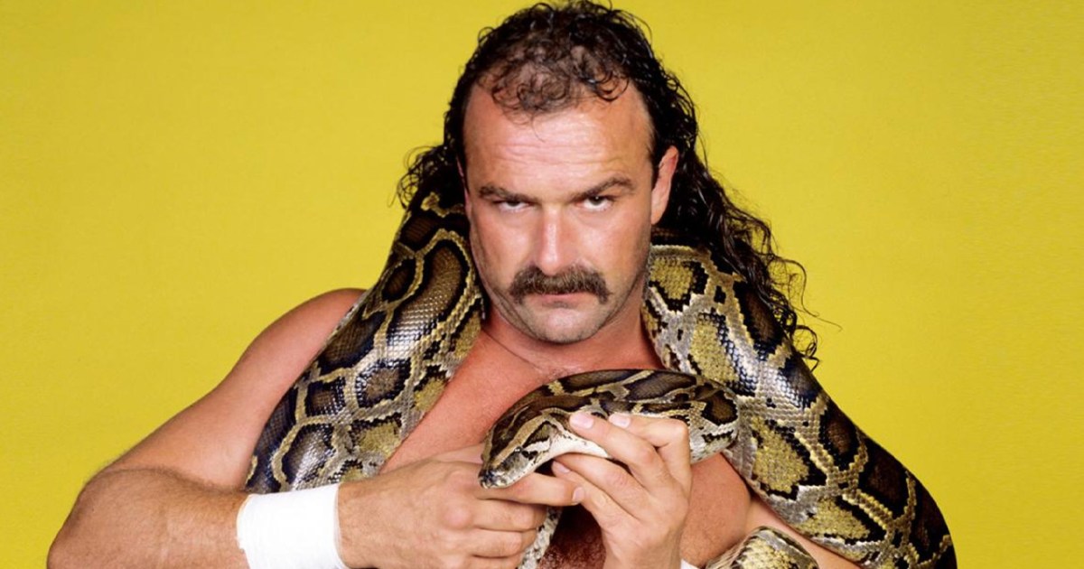 Jake Roberts on How He Became ‘Jake the Snake' Despite Having a Fear of ...