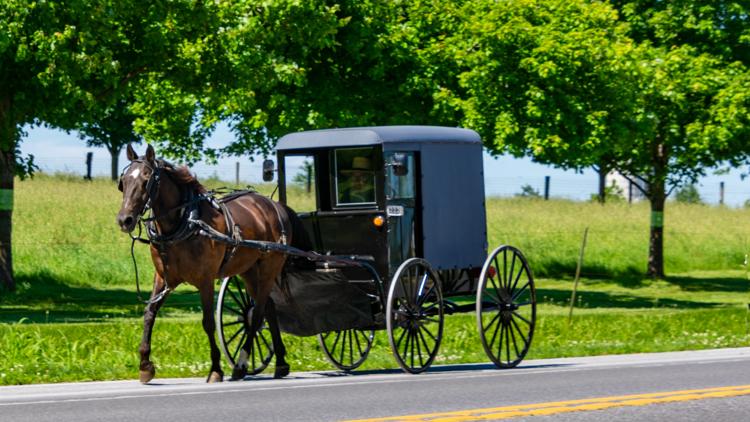 Multiple people injured after car hits Amish buggy in Breckinridge County