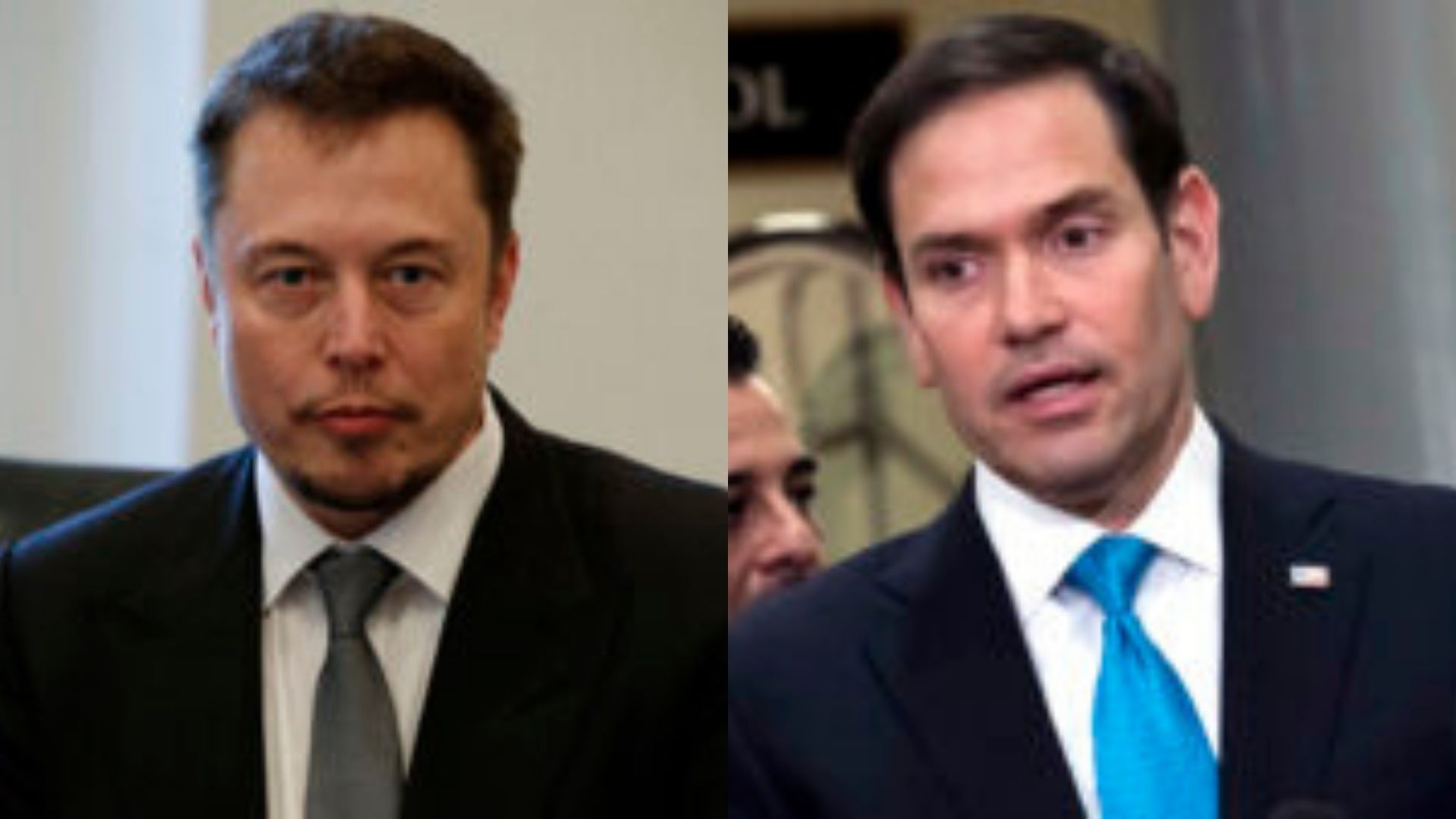Marco Rubio and Elon Musk Had Knock-Down, Drag-Out Fight on Thursday ...
