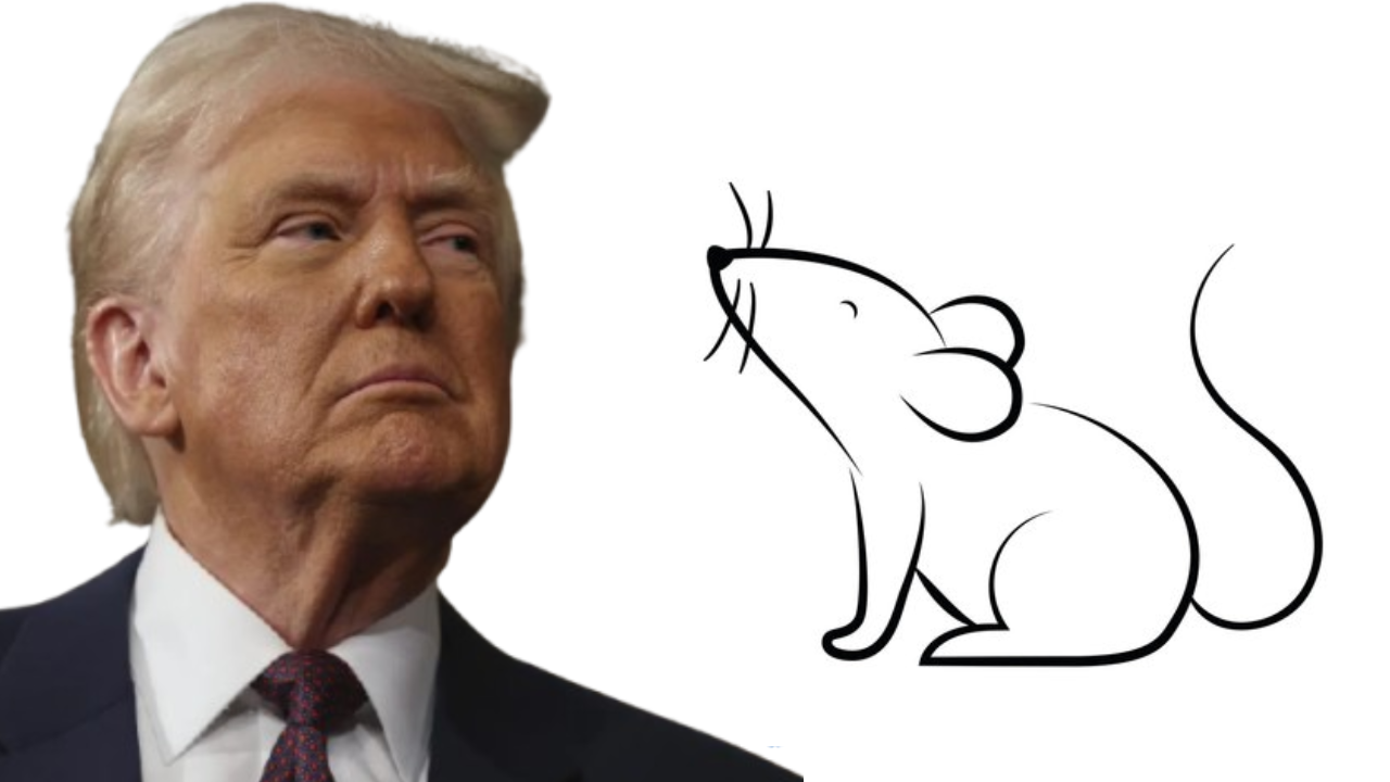 ‘$8 million for transgender mice’? Trump was right, US taxpayers really ...