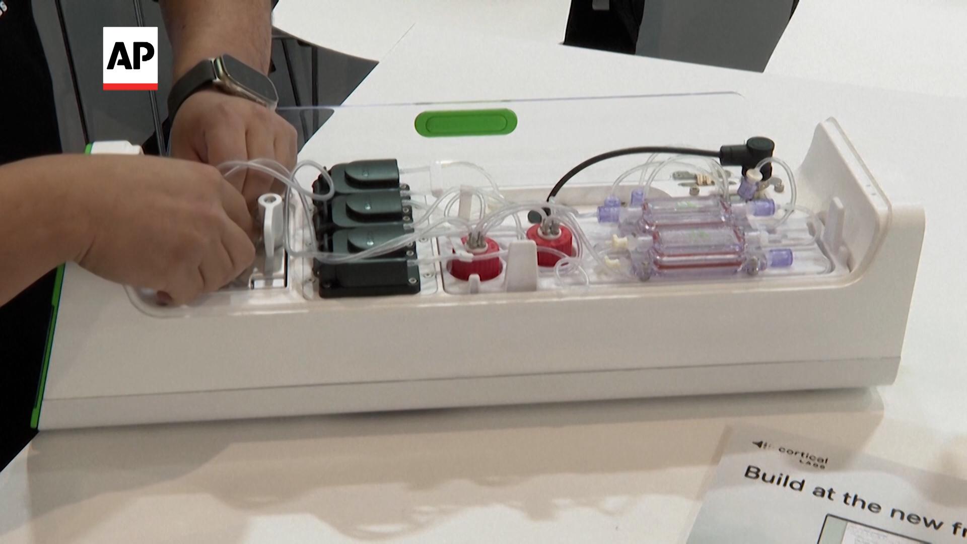 Brain cells are used in computer chips for world's first 'biological ...