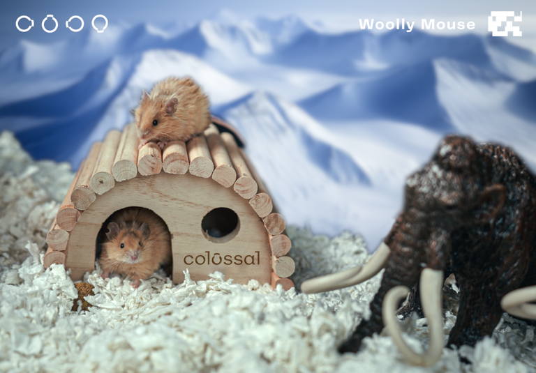 Celeb-Backed Colossal Biosciences' Viral Woolly Mouse Makes Headlines