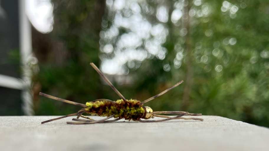 7 Essential Nymph Patterns for Every Trout Angler