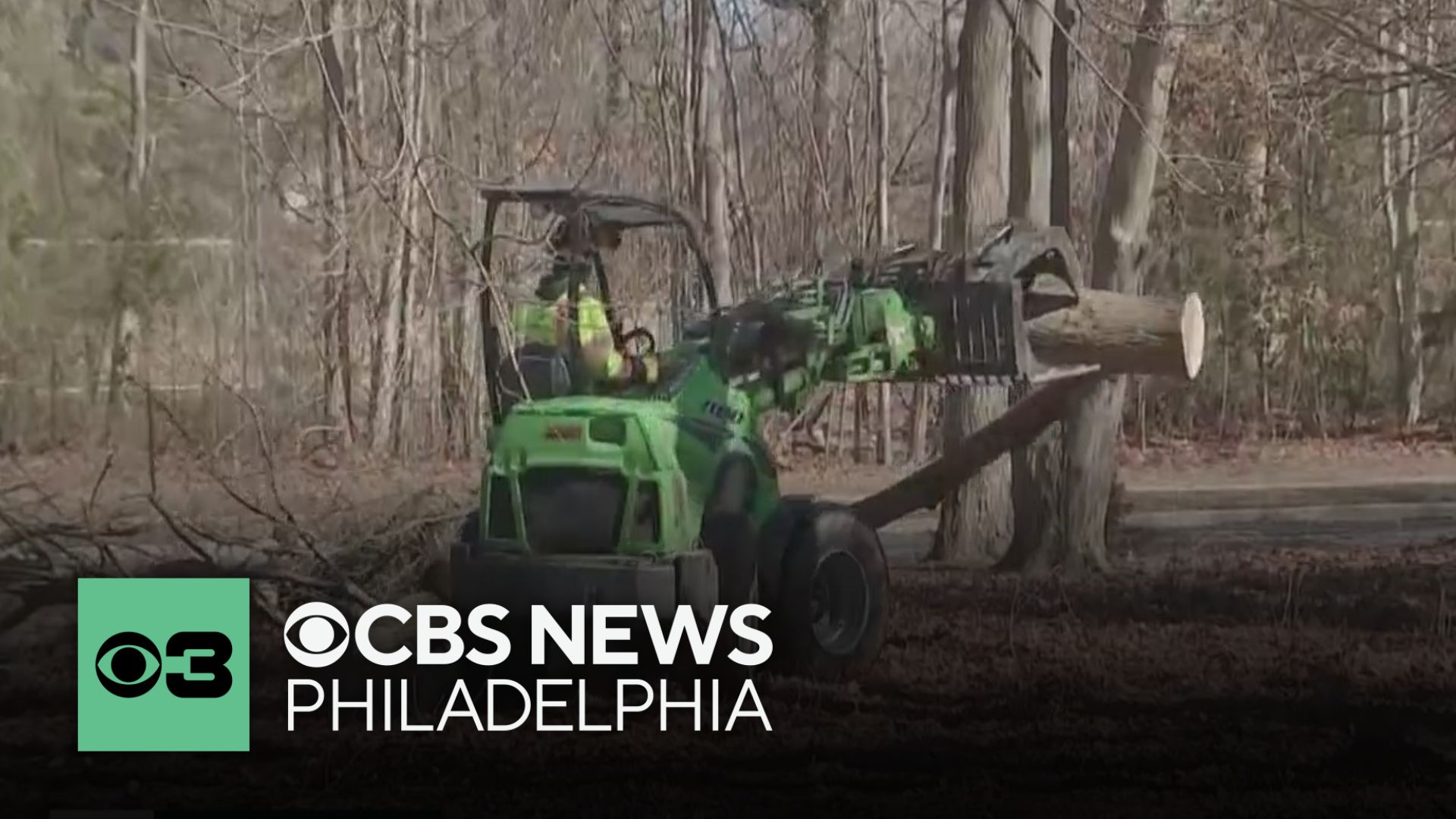 Tree removal companies see spike in business due to extra windy ...