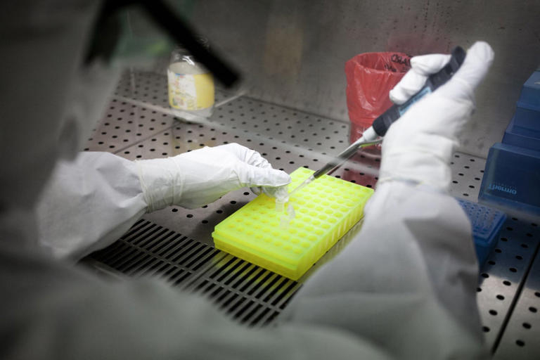 What is Lassa fever and what are the symptoms after UK case