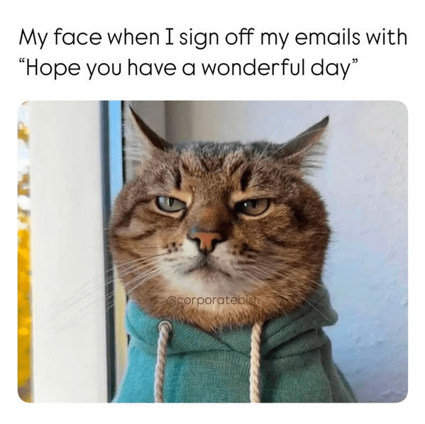 40 Funny Work Memes To Drop In The Office Group Chat