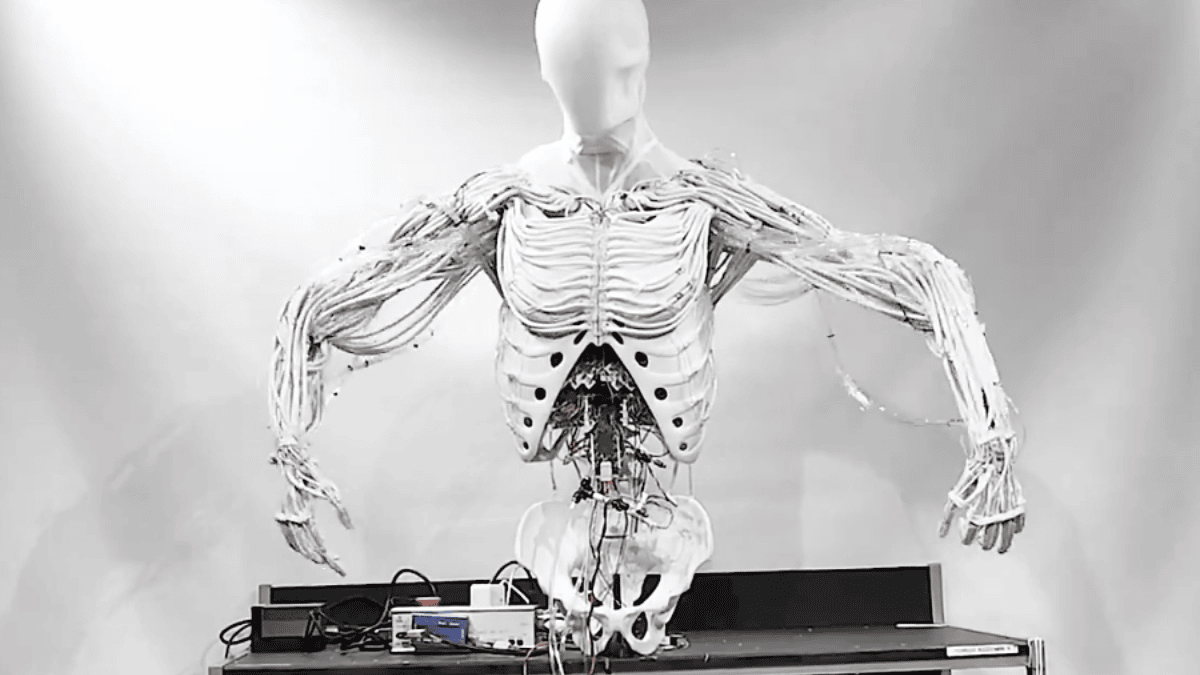 Musk launches a position for Deep Learning Manipulation Engineer, pays ...