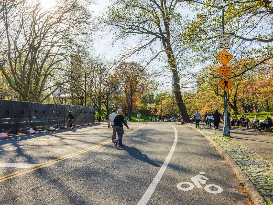 Everything To Know About The Upcoming Central Park Redesign