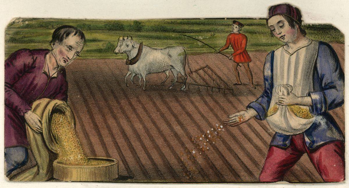 What history books got wrong about life in medieval times