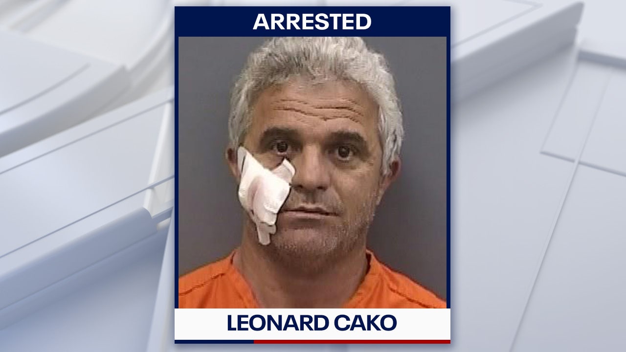 Video: Ruskin road rage victim fires flare gun at suspect who beats car ...