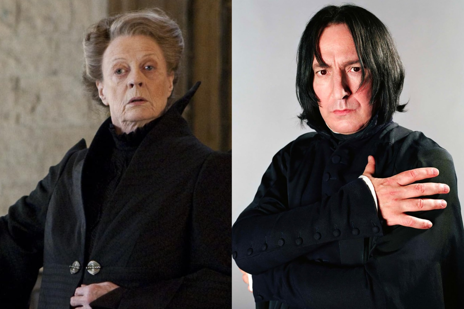 Harry Potter HBO TV show show finds its McGonagall and Snape