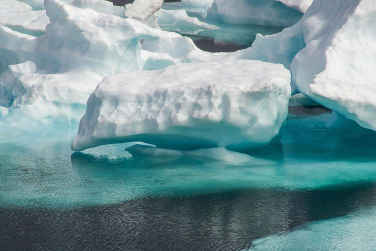 Global Sea Ice Levels Hit A Record Low, Raising Climate Concerns