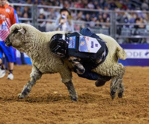 Spring Break 2025: Houston Adventures for Kids