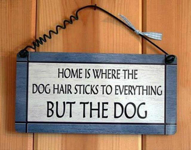 45 Hilarious Signs That Get Their Message Across With Perfect Comedic ...