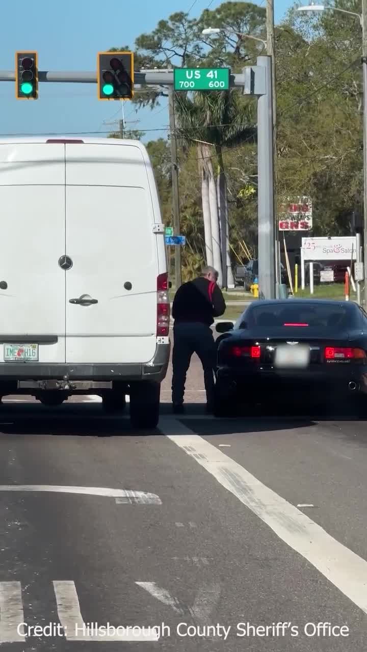 Video shows man bashing car with bat during Ruskin road rage incident: HCSO
