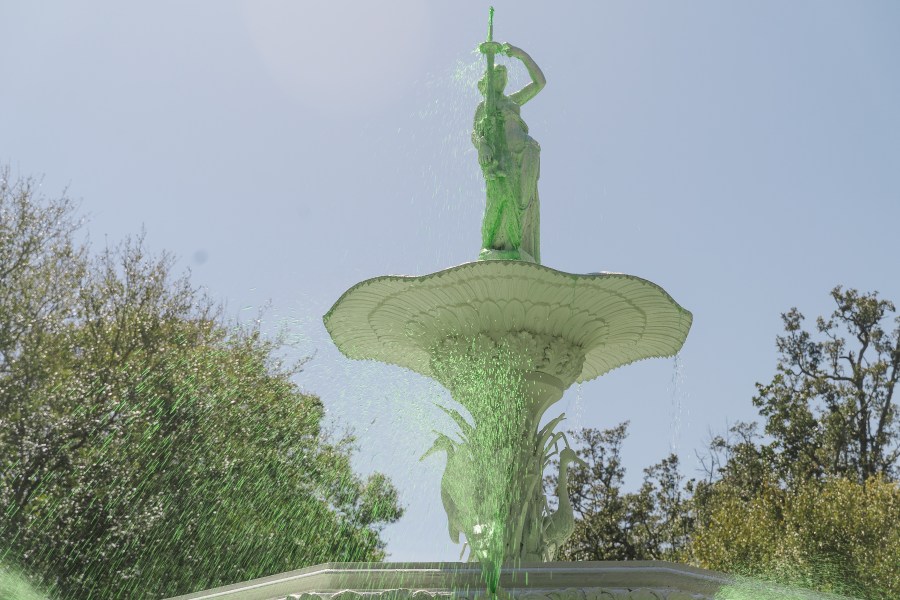 GALLERY: Greening of the Forsyth Fountain