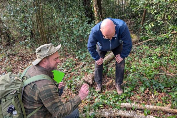 Torfaen nature reserve could be expanded after funding boost