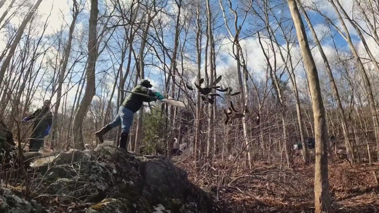 For Connecticut DEEP, the busy season for trout stocking is underway
