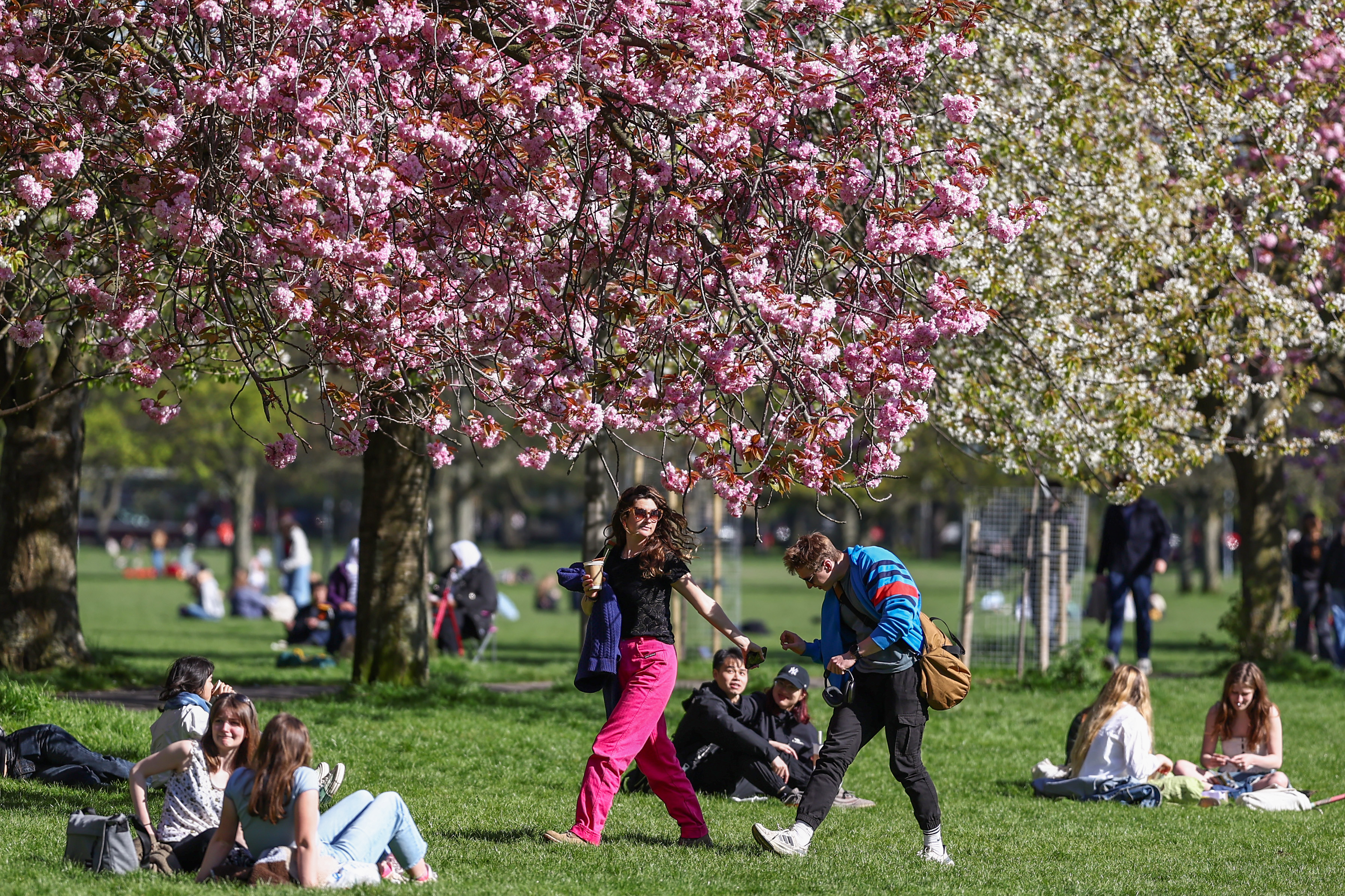 Edinburgh named one of the best UK cities to head out for a picnic this ...