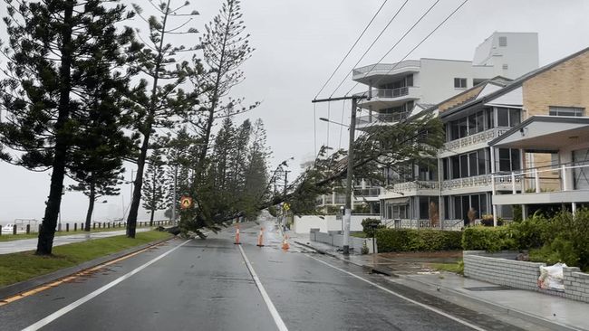 Carnage as Ex-Tropical Cyclone Alfred Downs Trees and Damages Power ...