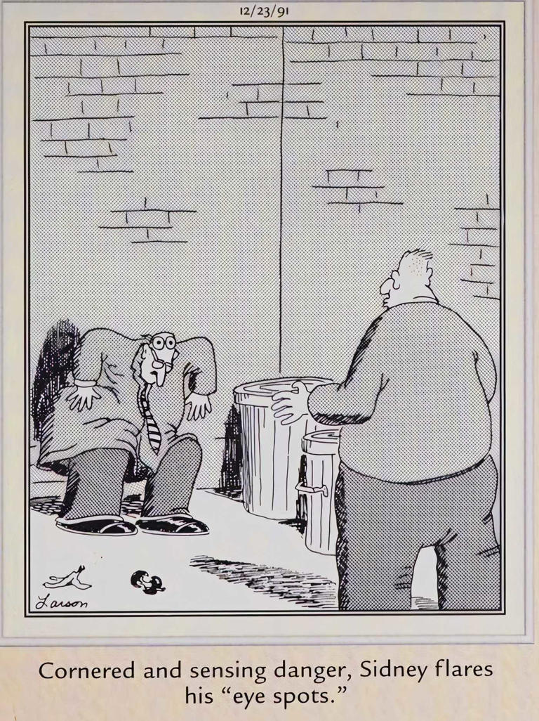 Nothing Good Happens in a Dark Alley and These Funny Far Side Comics ...