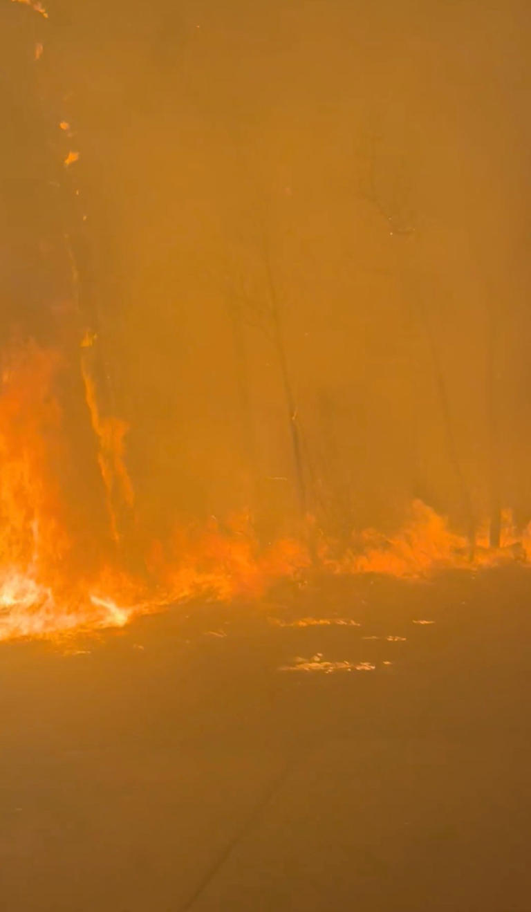 South Carolina woman arrested for igniting massive 2,059-acre wildfire in Myrtle Beach area