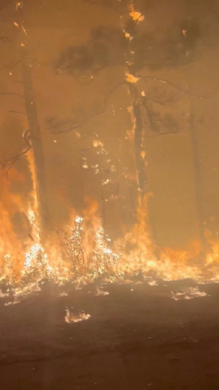South Carolina woman arrested for igniting massive 2,059-acre wildfire in Myrtle Beach area