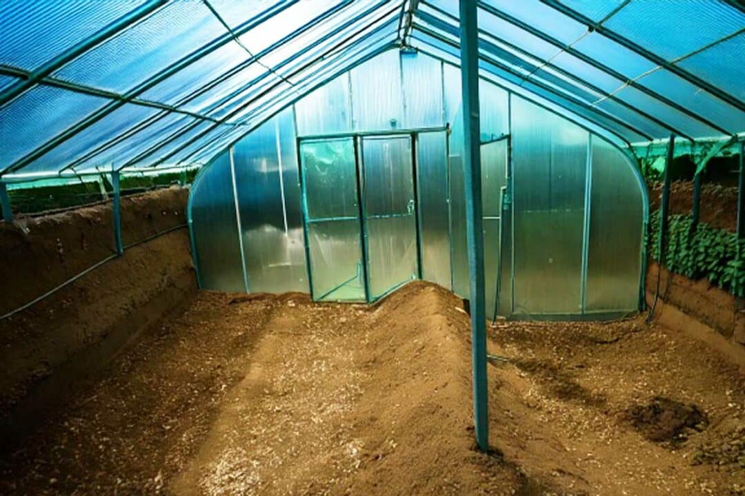 Walipini, une serre enterrée pour cultiver des fruits et des légumes ...