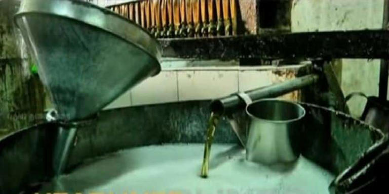 Nationwide ration strike? Dealers protest against changes to PDS, plan ...