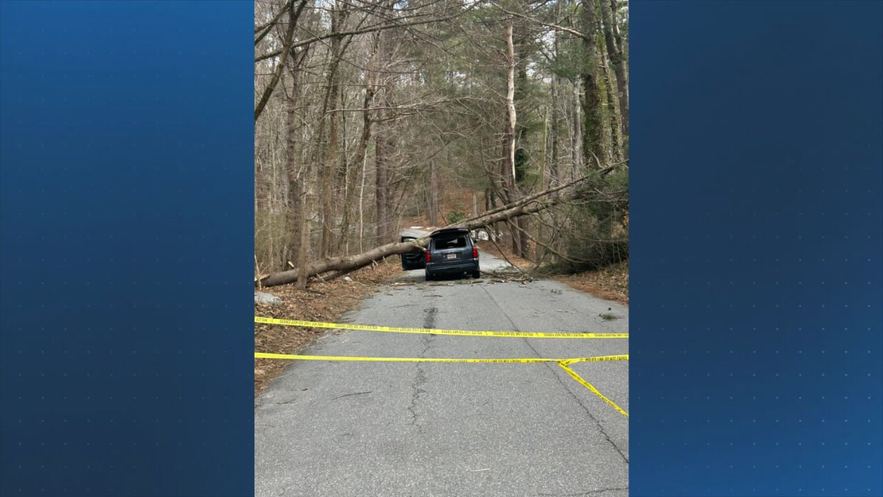 Strong winds topple tree onto car with Wayland Fire Chief inside