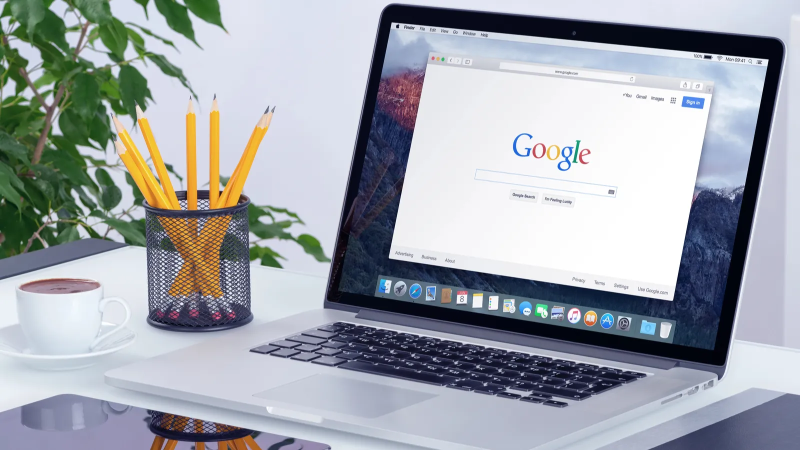 How can you erase your address from the web?