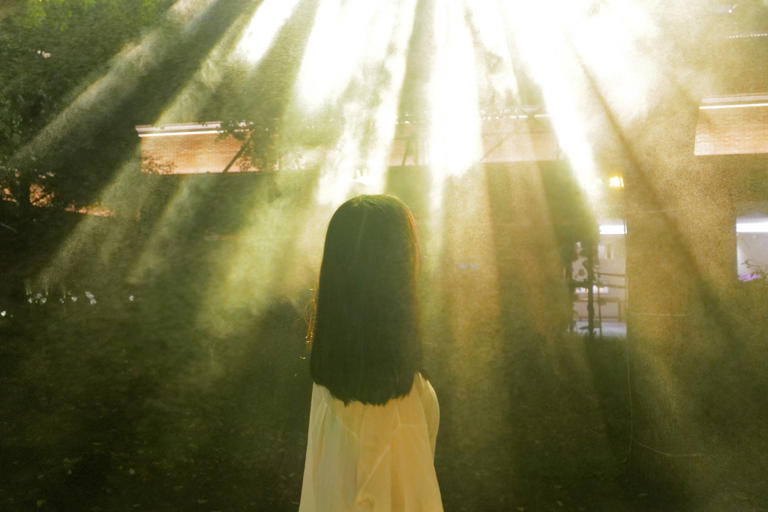 From $8 to $25: How much Netflix prices have increased over the last 10 ...