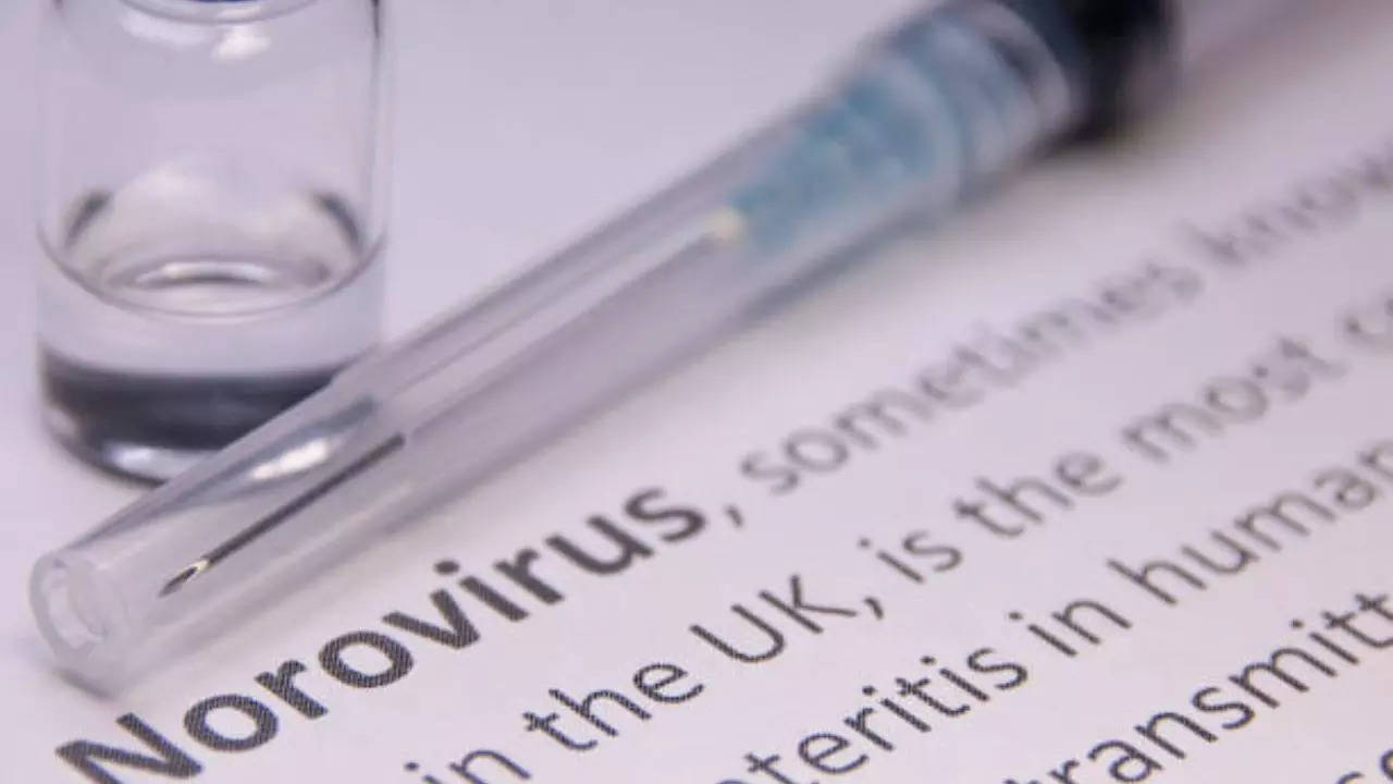 A New Norovirus Vaccine Pill Could Protect Against All Strains As Cases ...