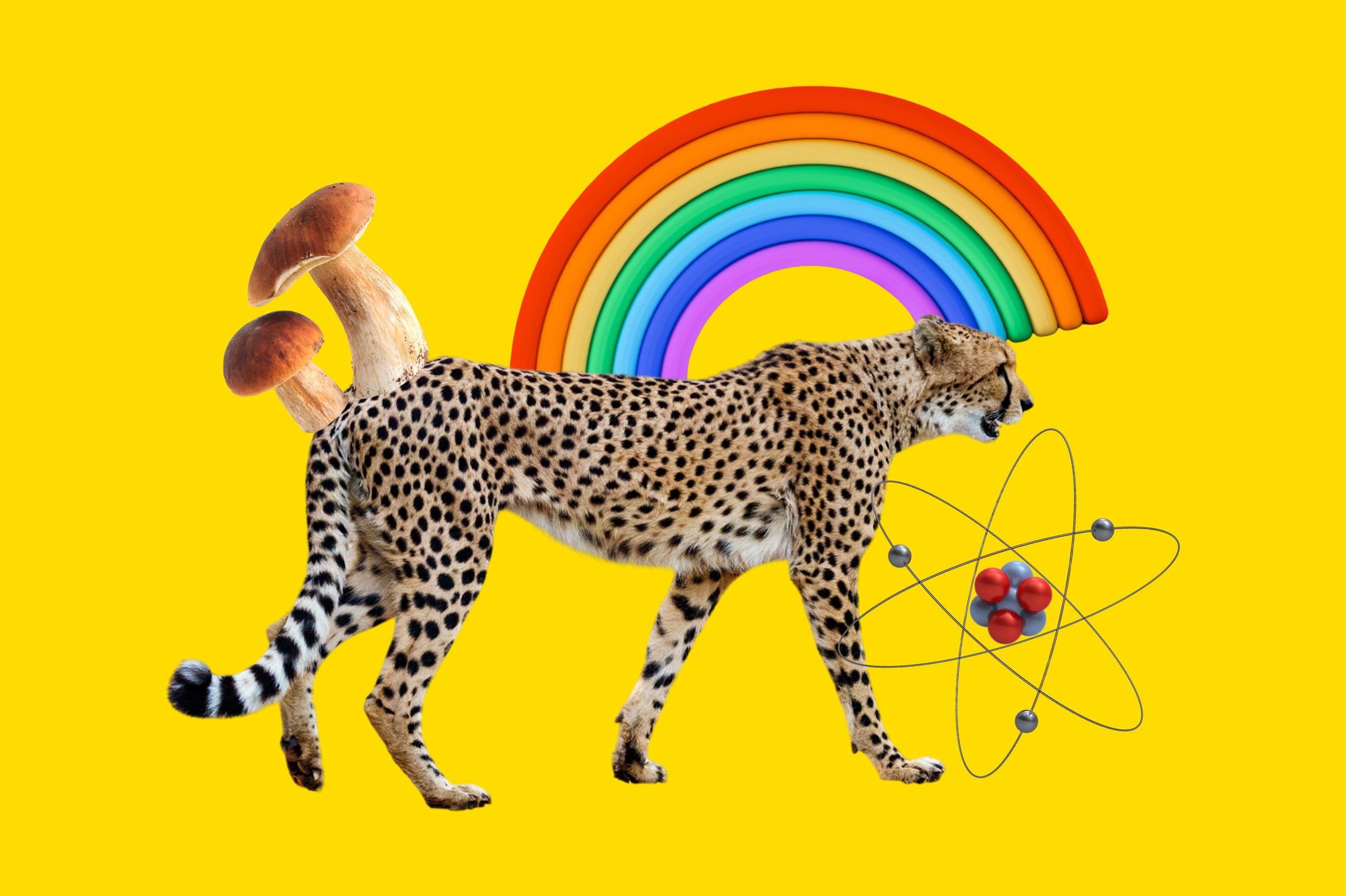 100 Tricky Science Trivia Questions—With Answers