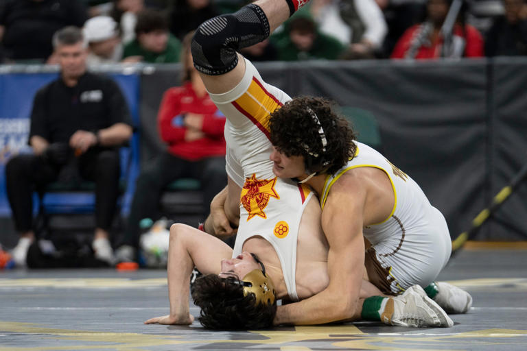 Watchung Hills' Anthony DiAndrea is the Courier News Wrestler of the Year