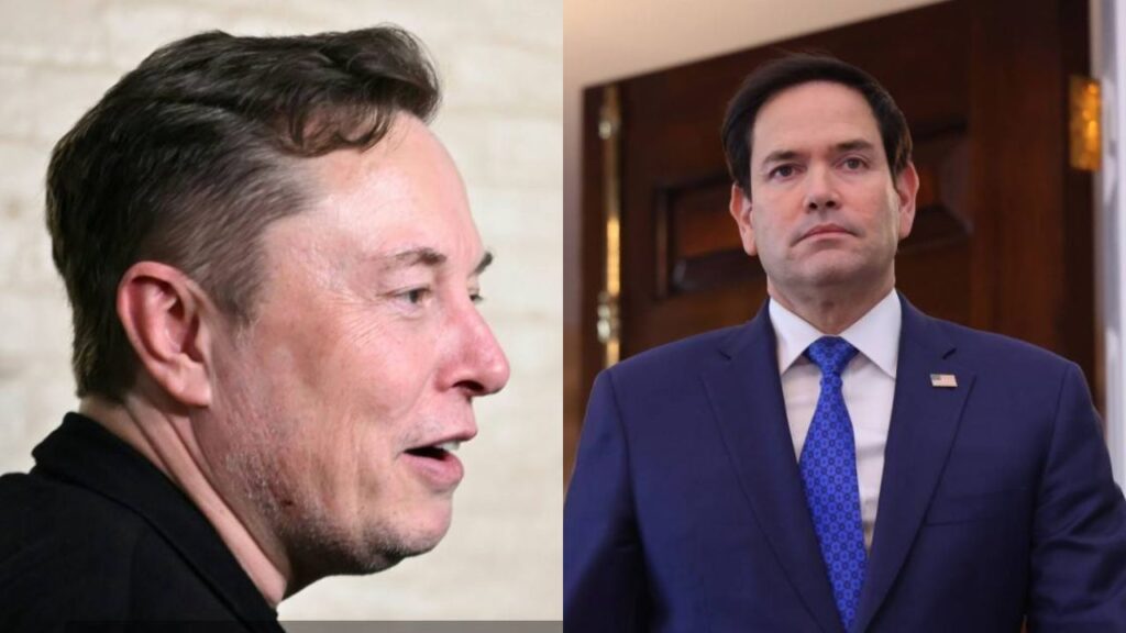 Trump niega supuesto enfrentamiento entre Musk y Rubio